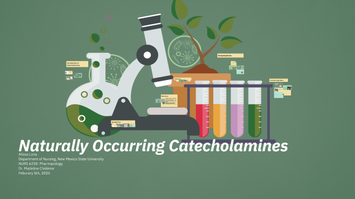 Naturally Occurring Catecholamines by Alissa Luna on Prezi