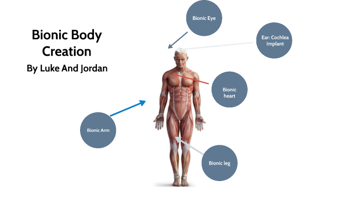 Bionic Body Presentation by Luke Bertolissio on Prezi