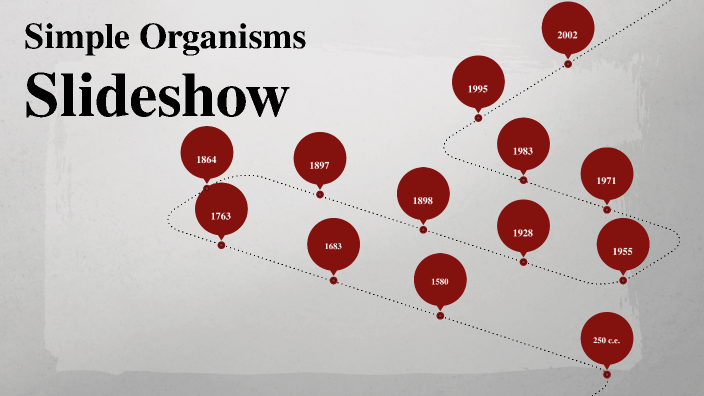 Simple Organisms Timeline by Oliver Helander on Prezi