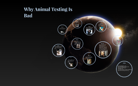 Why Animal Testing Is Bad by vinnie fry