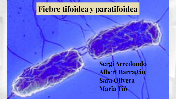 Fiebre tifoidea y paratifoidea by Maria Tió on Prezi