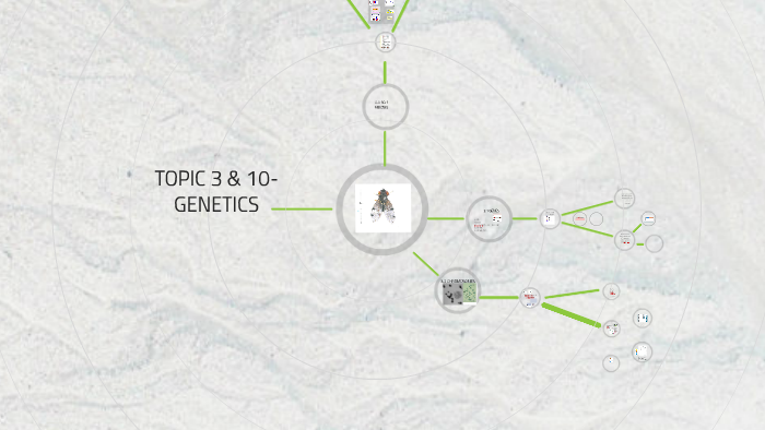 TOPIC 3 - GENETICS by Peter Gulian on Prezi