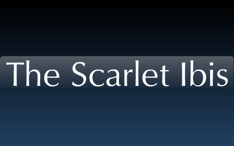 The Scarlet Ibis (Plot) by David McCampbell on Prezi