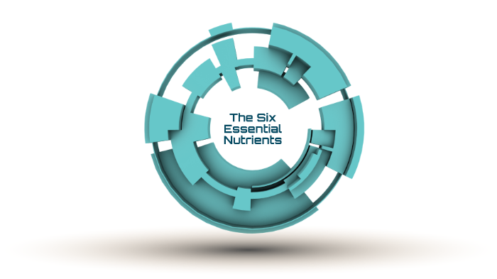 The Six Essential Nutrients by Brian Wong on Prezi