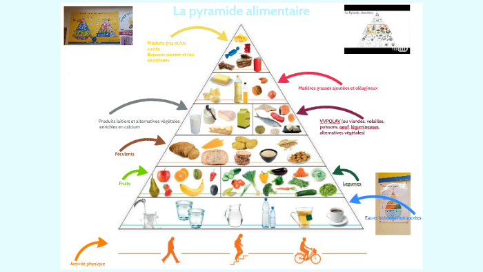 la pyramide alimentaire by lorena trusca on Prezi