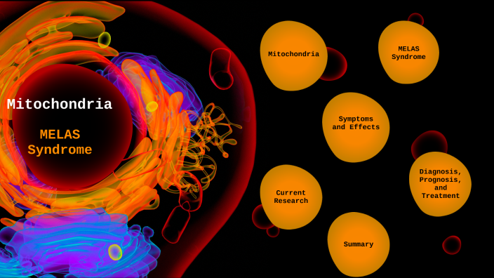 MELAS Syndrome by Emmie Wilmot on Prezi