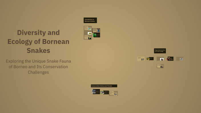 Diversity and Ecology of Bornean Snakes by Philipp Ungar on Prezi