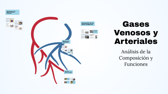 Gases Venosos y Arteriales by sofia medina olaya on Prezi