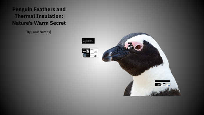 Penguin Feathers and Thermal Insulation: Nature’s Warm Secret by gauri tiyar on Prezi