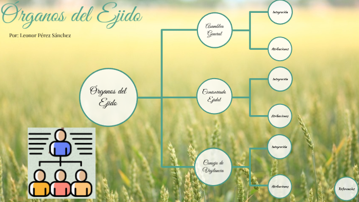 Órganos del Ejido by Leonor Pérez on Prezi