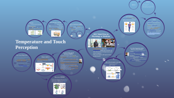 Temperature and Touch Perception by Chris Vakkur on Prezi