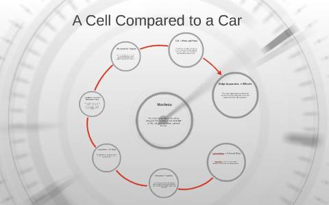 A cell compared to a car by Sarah D. on Prezi
