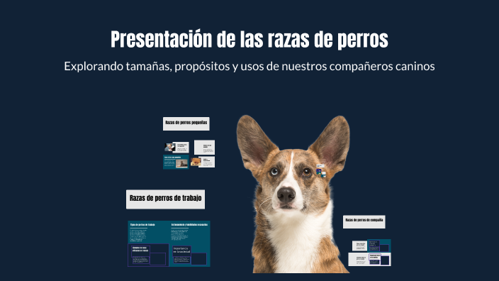 Presentación de las razas de perros by Emit Villalobos on Prezi