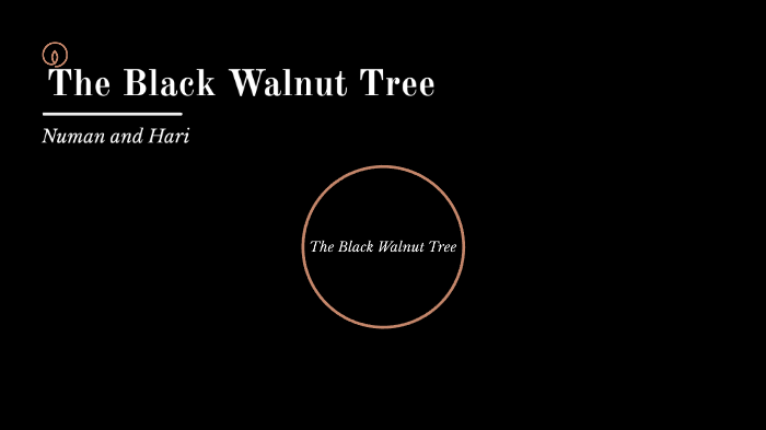 The Black Walnut Tree poetry presentation by hari bheesetti on Prezi