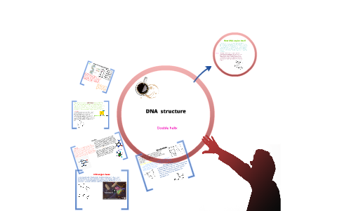 DNA structure by Rachael Rotimi-Samuel on Prezi