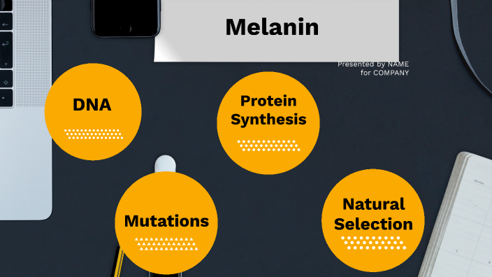 Melanin Concept Map by jared lesk on Prezi