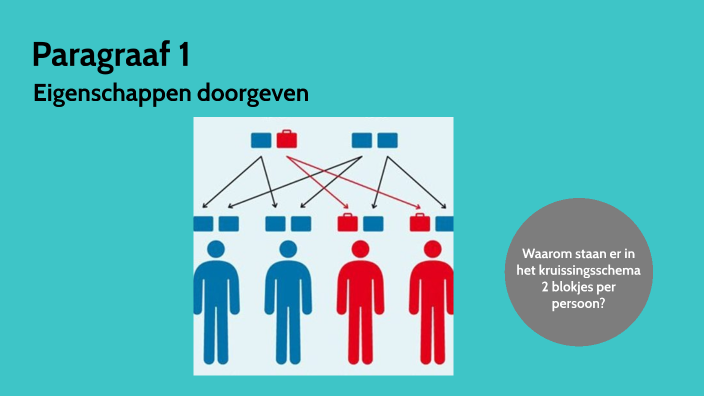 1. Eigenschappen doorgeven by J van Rooden on Prezi