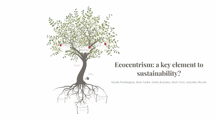 ECOCENTRISM by Marion Crambert on Prezi
