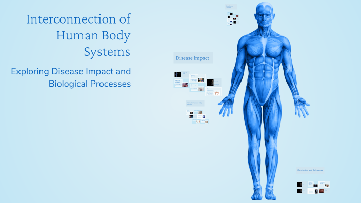 Interconnection of Human Body Systems by Marisol Ochoa on Prezi