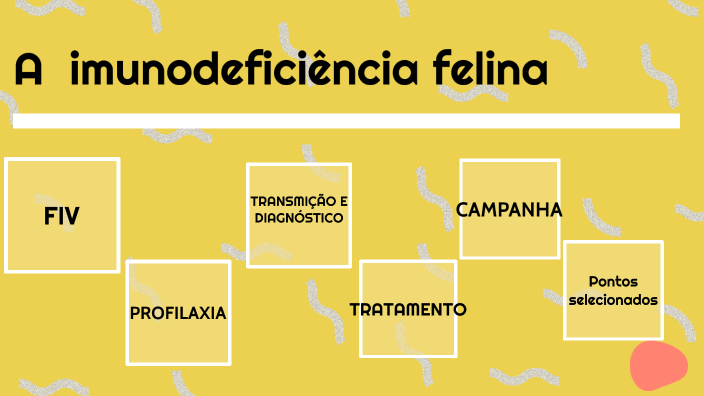 FIV by Looh Souza on Prezi