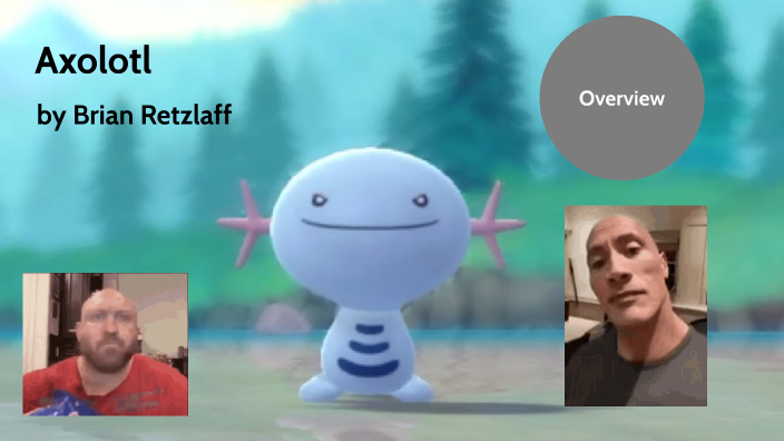 Final Presentation by Brian Retzlaff on Prezi