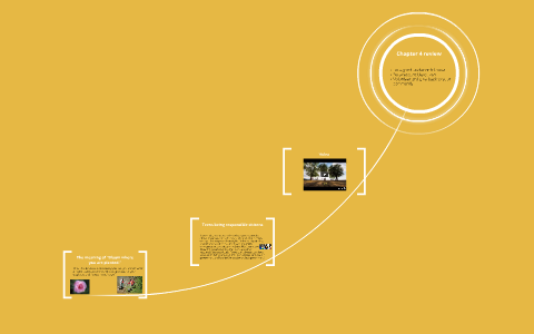 The meaning of "Bloom where you are planted." by Gerald Morehead on Prezi