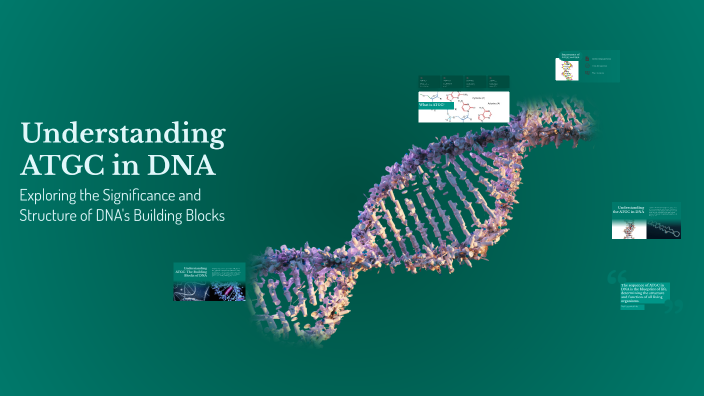 Understanding ATGC in DNA by Lidia Daniel on Prezi