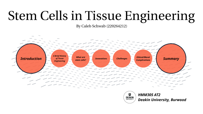 HMM305 AT2 Presentation by Caleb Schwab