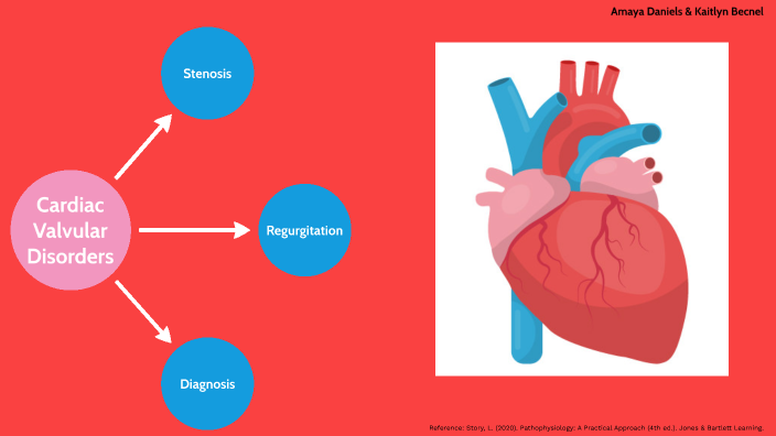 Cardiac Valvular Disorders by Amaya Daniels on Prezi