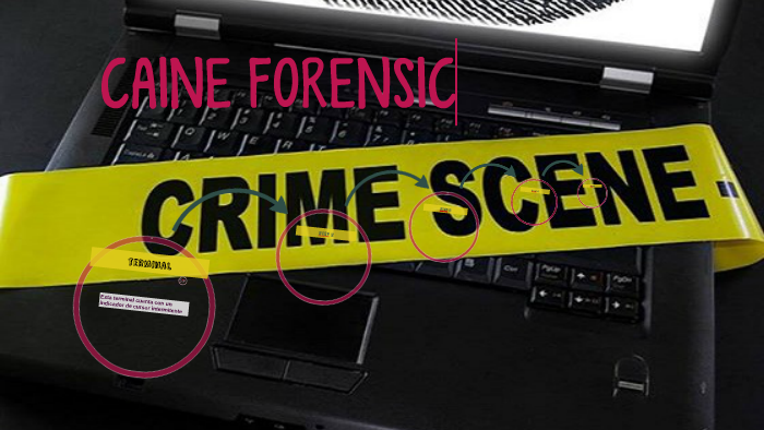 CAINE FORENSIC by Geraldine Jimenez on Prezi