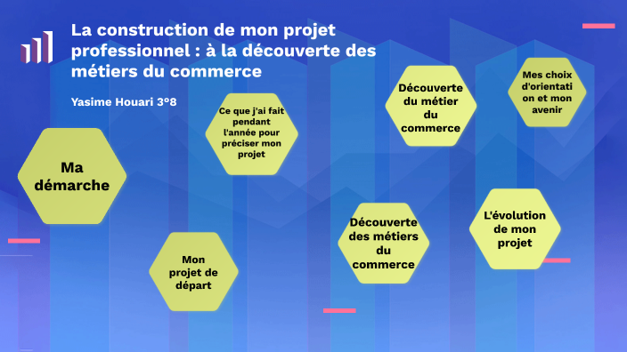 Mon projet professionnel by yasime houari on Prezi
