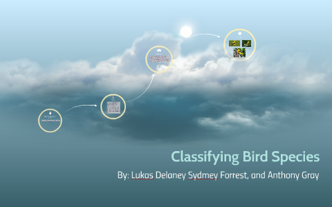 Classifying Bird Species by Lukas Delaney on Prezi