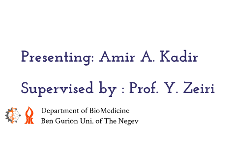 Doctoral presentation by amir abed on Prezi