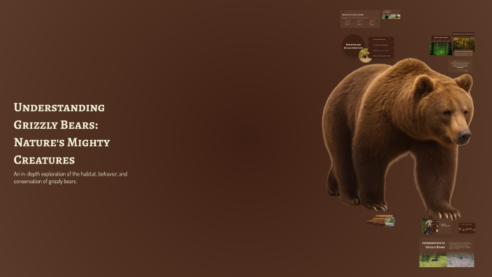 Understanding Grizzly Bears: Nature's Mighty Creatures by M Adh on Prezi