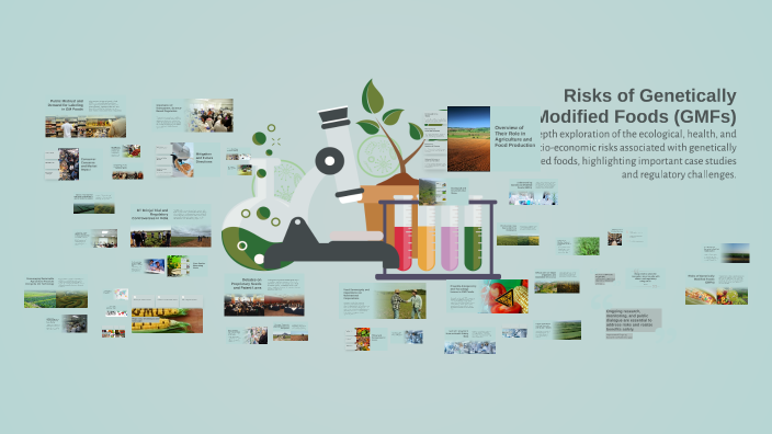Risks of Genetically Modified Foods (GMFs) by Sanjana Botcha on Prezi