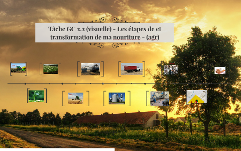 Tâche GC 2.2 (visuelle) - Les étapes de et transformation de by julie ...