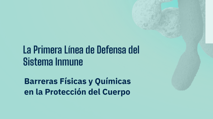 La Primera Línea de Defensa del Sistema Inmune by Elias Romero on Prezi