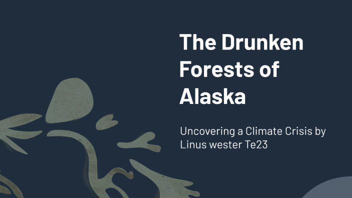 The Drunken Forests of Alaska by Linus Wester TE23 Franklins gymnasiu ...