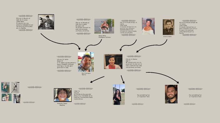 family tree by Antonio Medina on Prezi