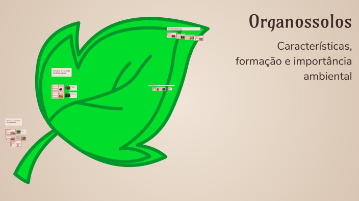 Organossolos: Características e Importância by Pedro Augusto Monteiro ...