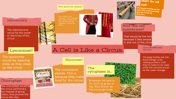 A Cell is Like a Circus. by Cayla Hodges on Prezi