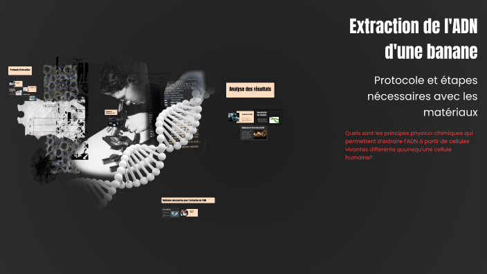 Extraction de l'ADN d'une banane by Muhammed Yunis on Prezi