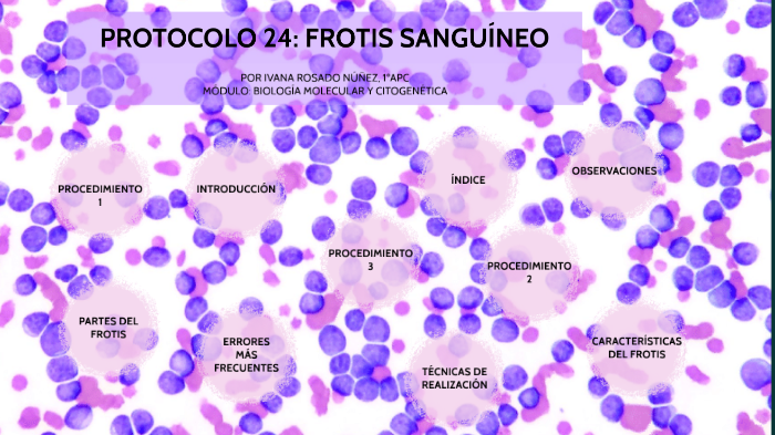 PROTOCOLO 24 by Ivana Rosado Núñez on Prezi