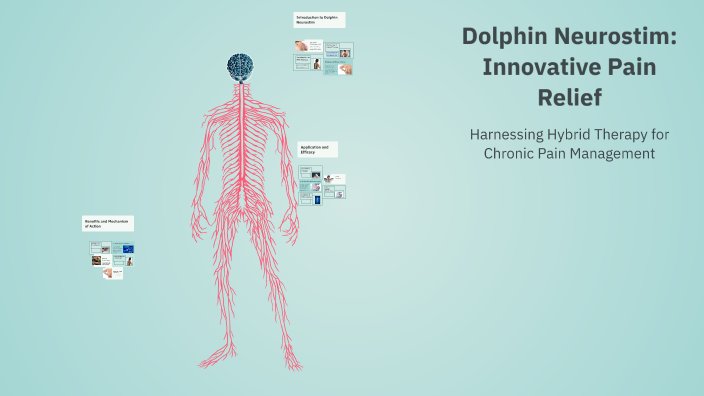 Dolphin Neurostim: Innovative Pain Relief by Amy Pollitt on Prezi