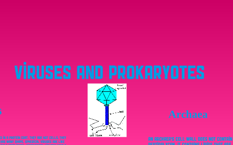 virus, archaea, eubacteria by lance eason on Prezi
