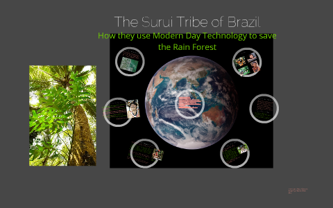 The Surui Tribe by Sophie McQuaide on Prezi
