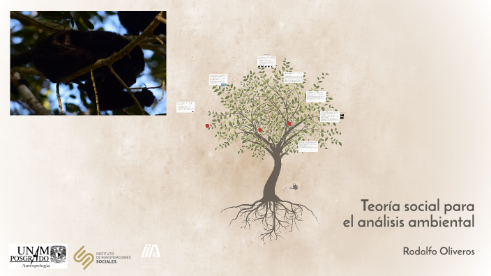 Ambiente y sociedad: Árboles by Rodolfo Oliveros on Prezi