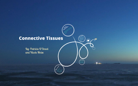 Connective Tissue by Nicole Moise on Prezi