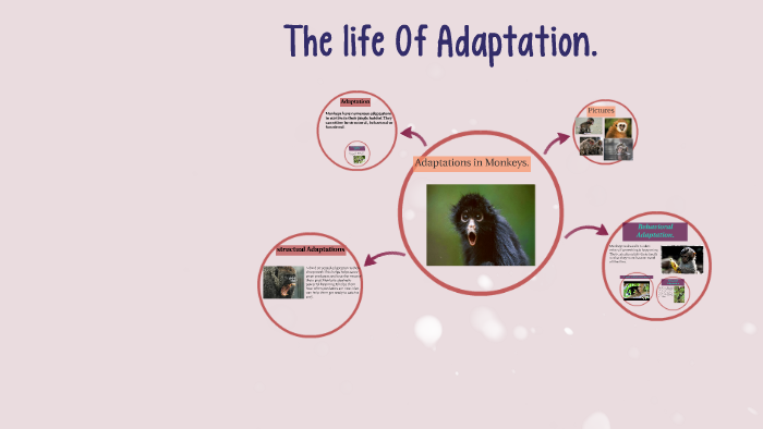 Adaptations on Monkeys. by jazmyne hawthorne on Prezi