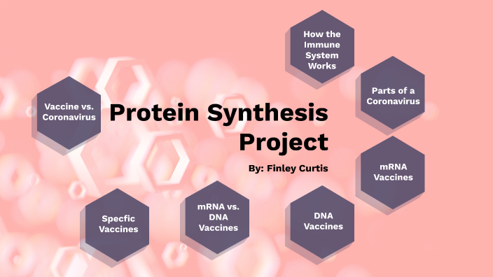 Protein Synthesis Project - Finley Curtis by Finley C on Prezi